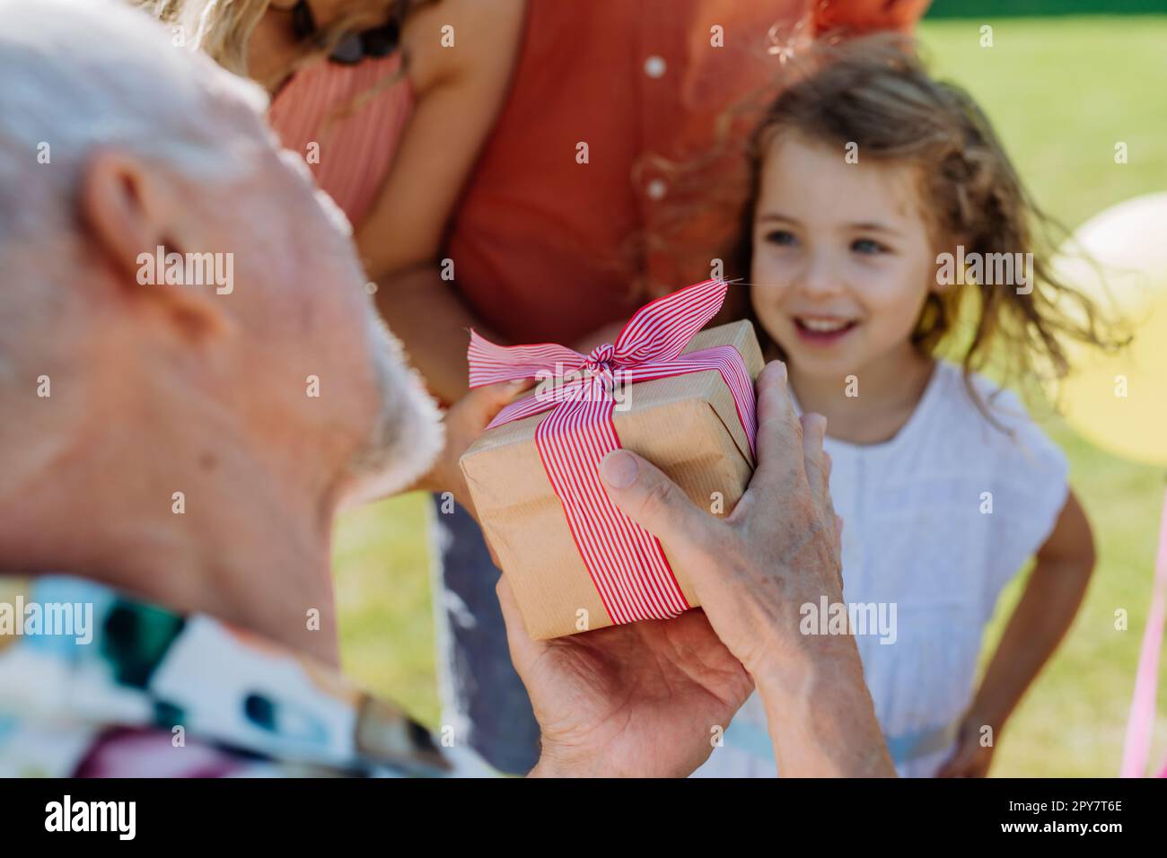 Happy little girl giving birthday present to her senior grandfather at ...