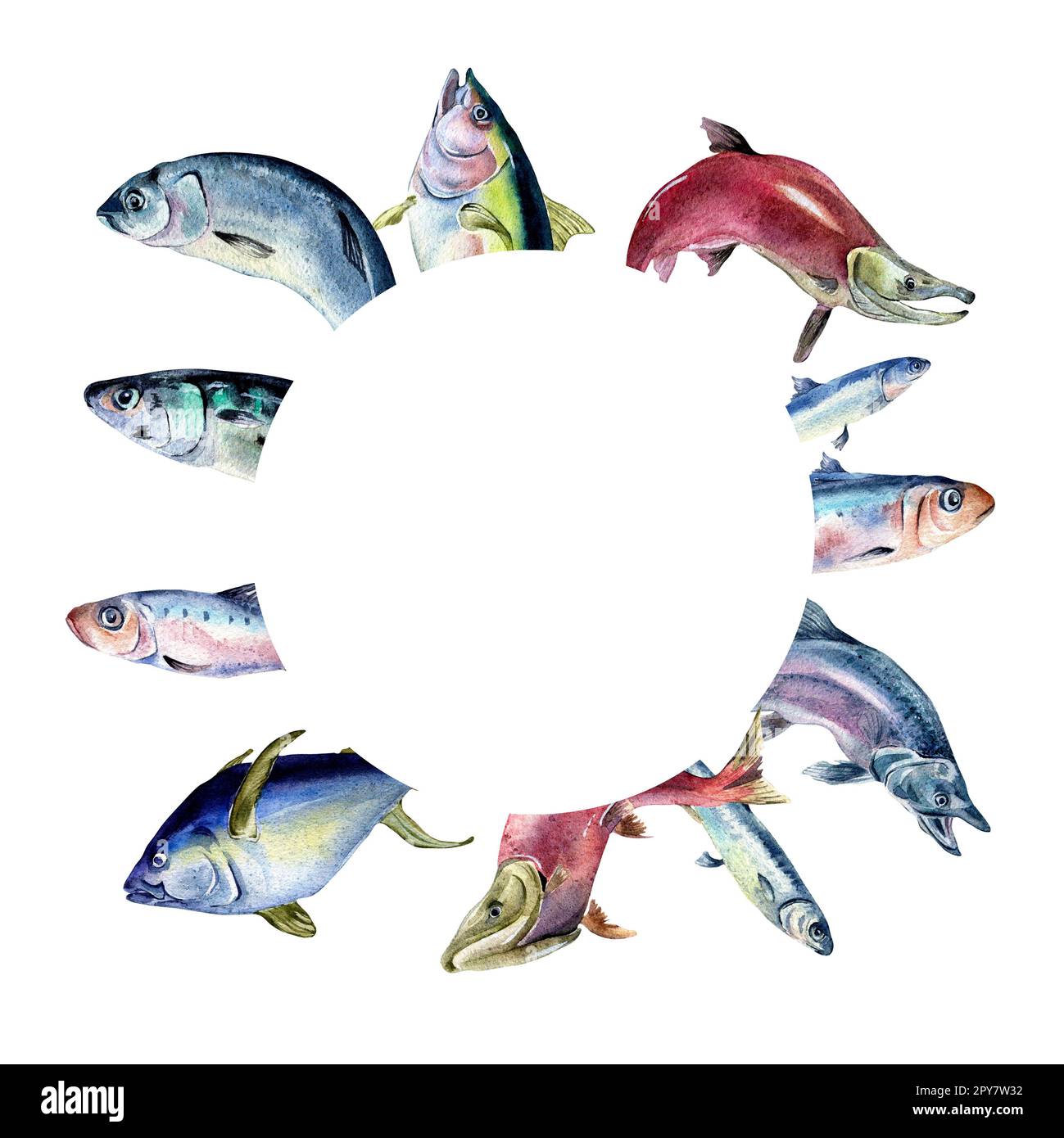 Frame of various fresh sea fish watercolor illustration isolated on ...
