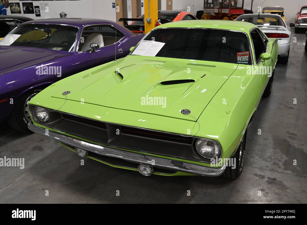 Cuda hi-res stock photography and images - Alamy