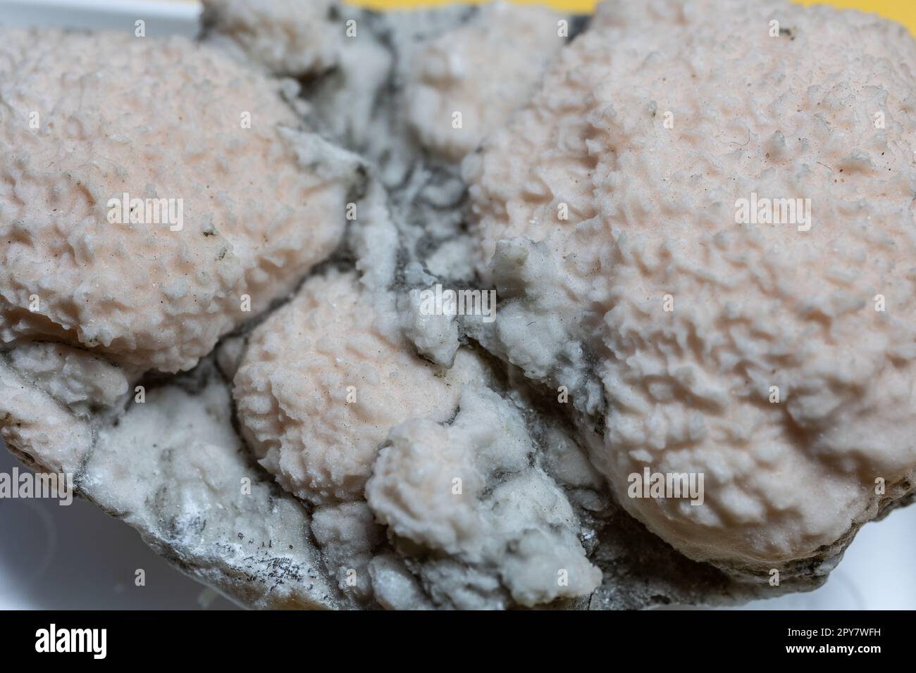 Alabaster crystals in close-up Stock Photo - Alamy
