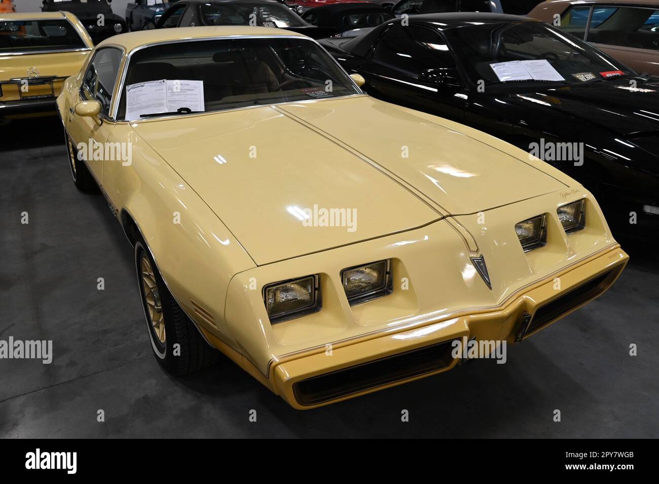 1980 Pontiac Firebird Stock Photo - Alamy