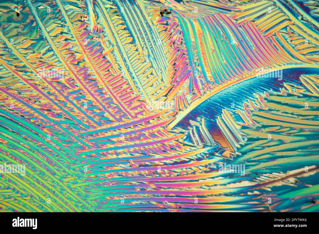 citric acid crystals in polarized light under the microscope Stock ...