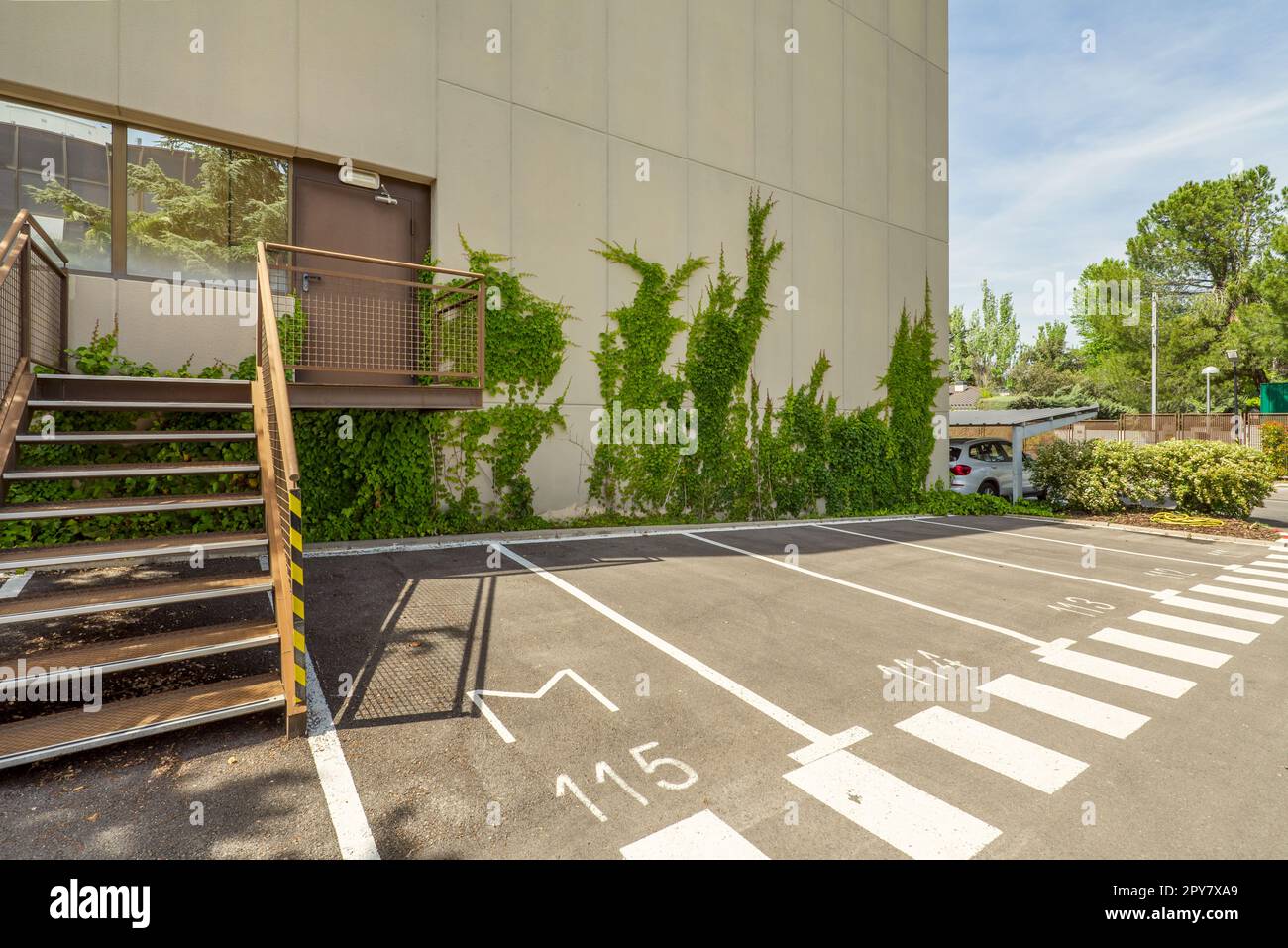 Outdoor parking spaces for vehicles and a wall with vines climbing up ...