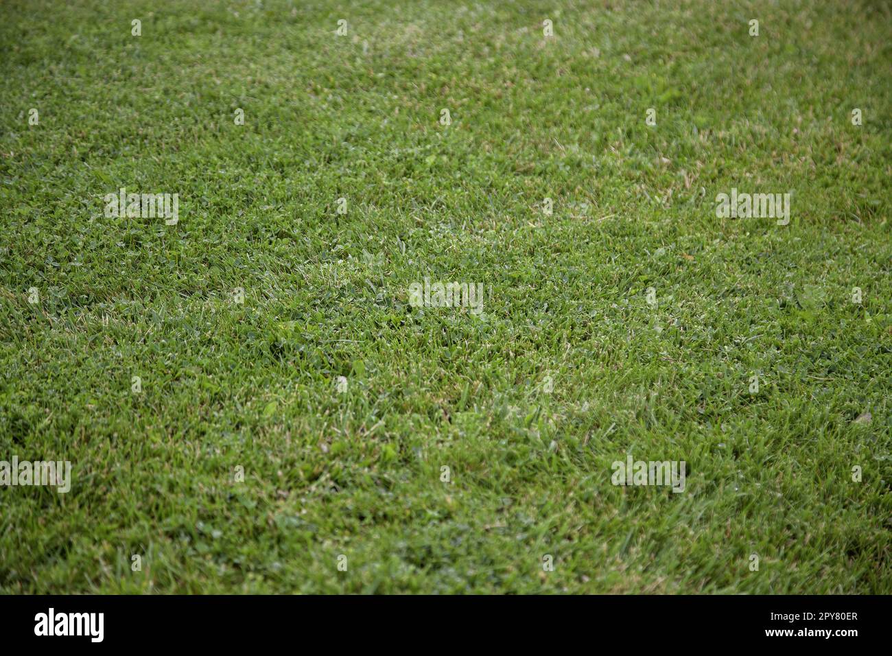 Spaciousness nature hi-res stock photography and images - Alamy