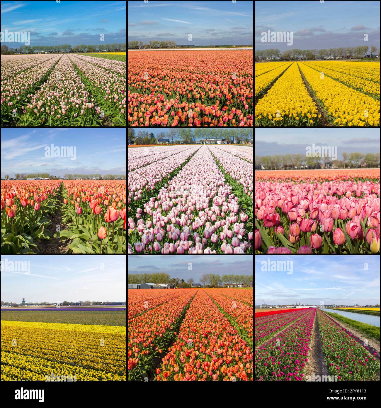 Farm collage hi-res stock photography and images - Alamy