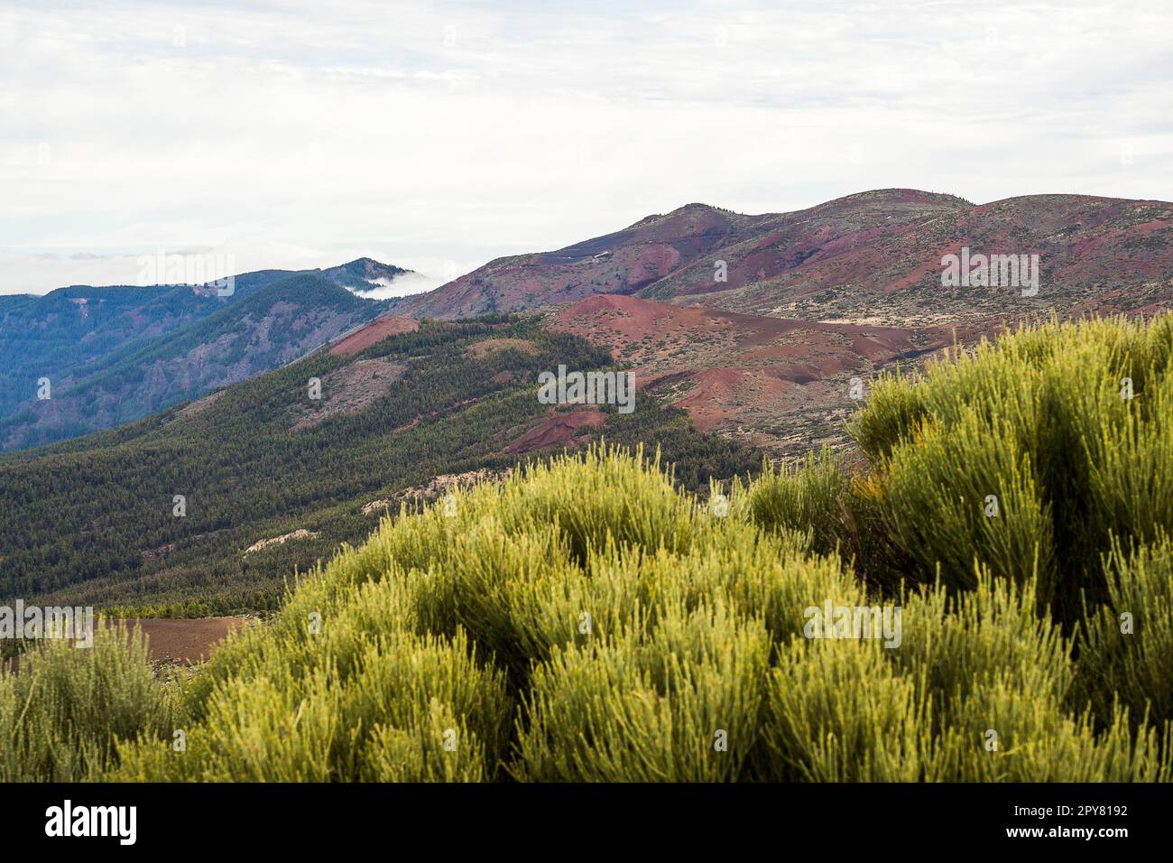 Spain, Canary Islands, Tenerife - National park of Teide Stock Photo ...