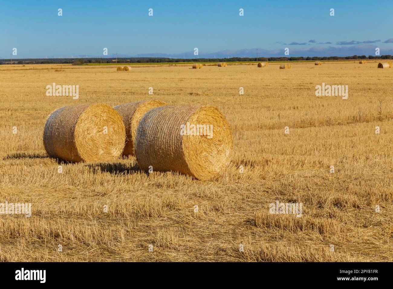 Crop view hi-res stock photography and images - Alamy