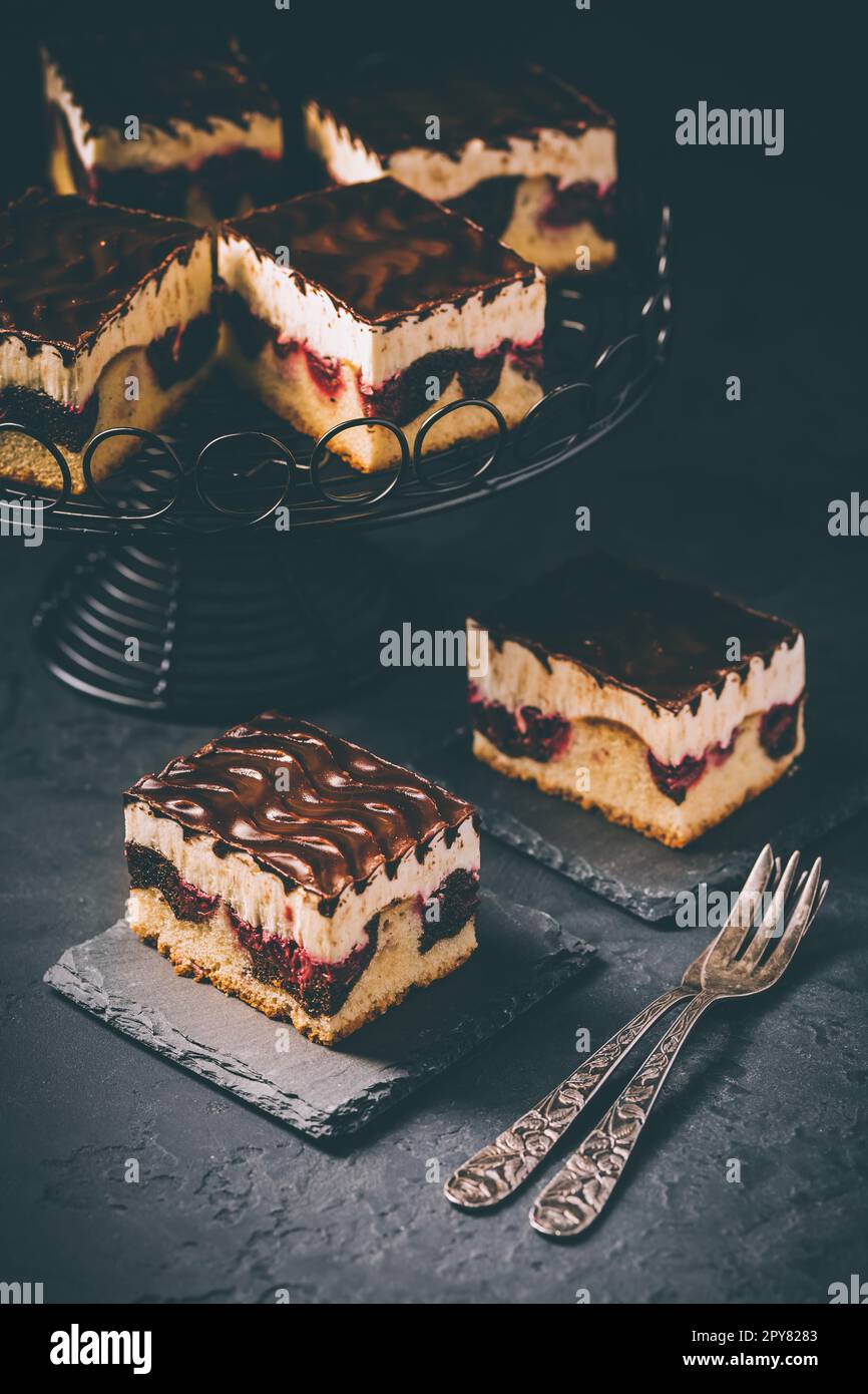 German cake Donauwelle (Danube waves) - vanilla and chocolate sponge ...