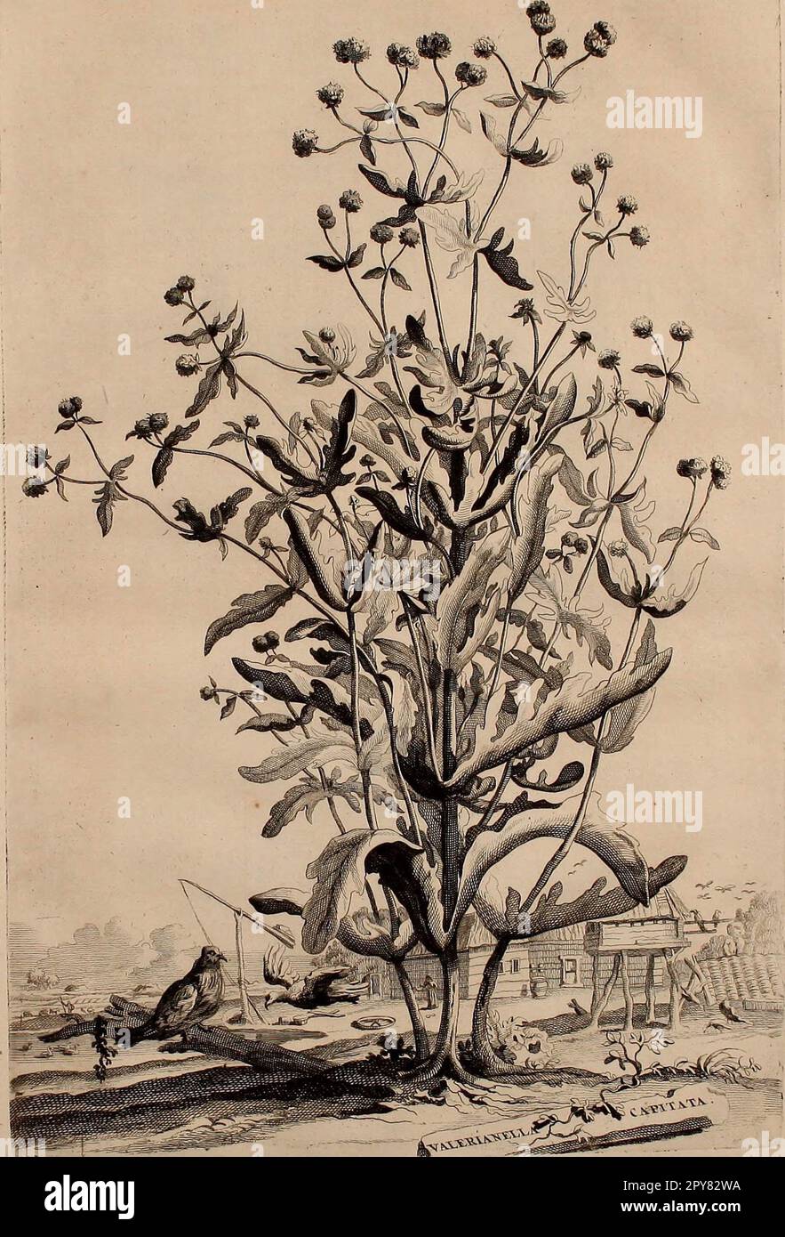 Krachten hi-res stock photography and images - Alamy