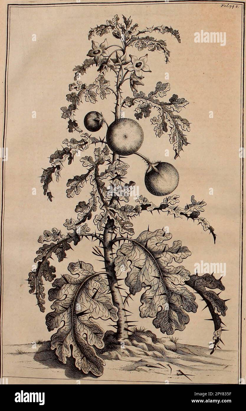 Naauwkeurige beschryving der aardgewassen, waar in de veelerley aart en ...