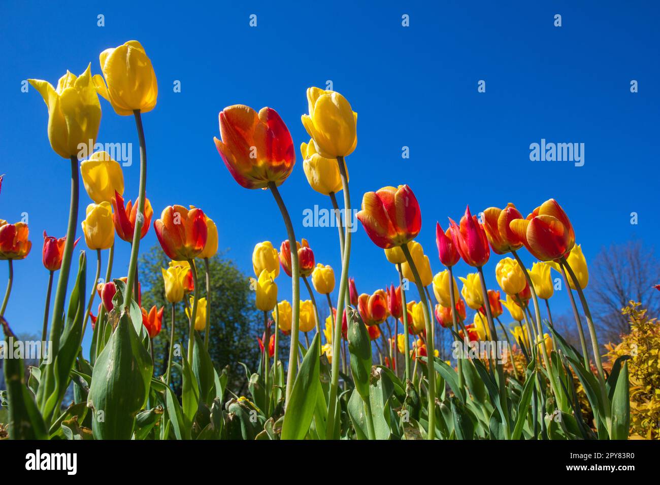 Colorful park hi-res stock photography and images - Alamy