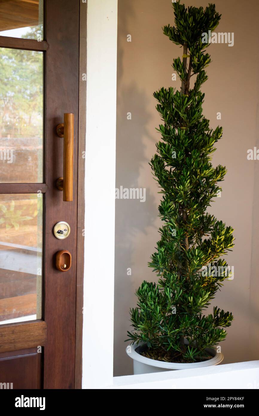 Decoration coffee shop in hi-res stock photography and images - Alamy