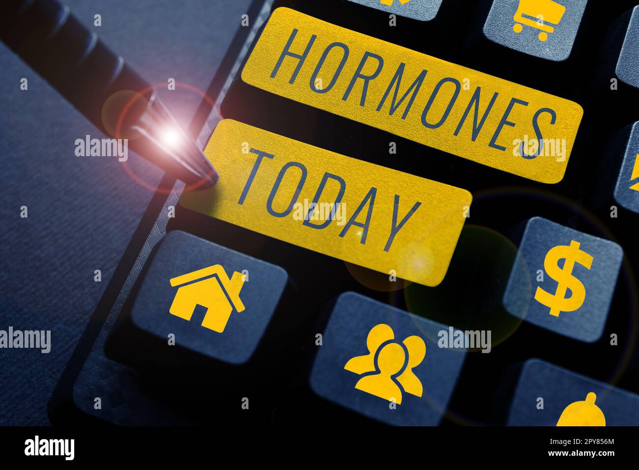 Writing displaying text Hormones. Business concept regulatory substance ...