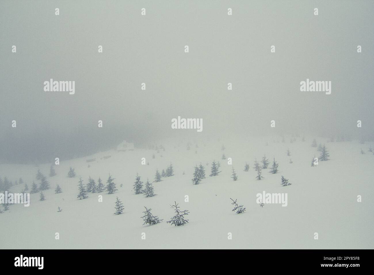 Snowy hill covered with fog landscape photo Stock Photo - Alamy