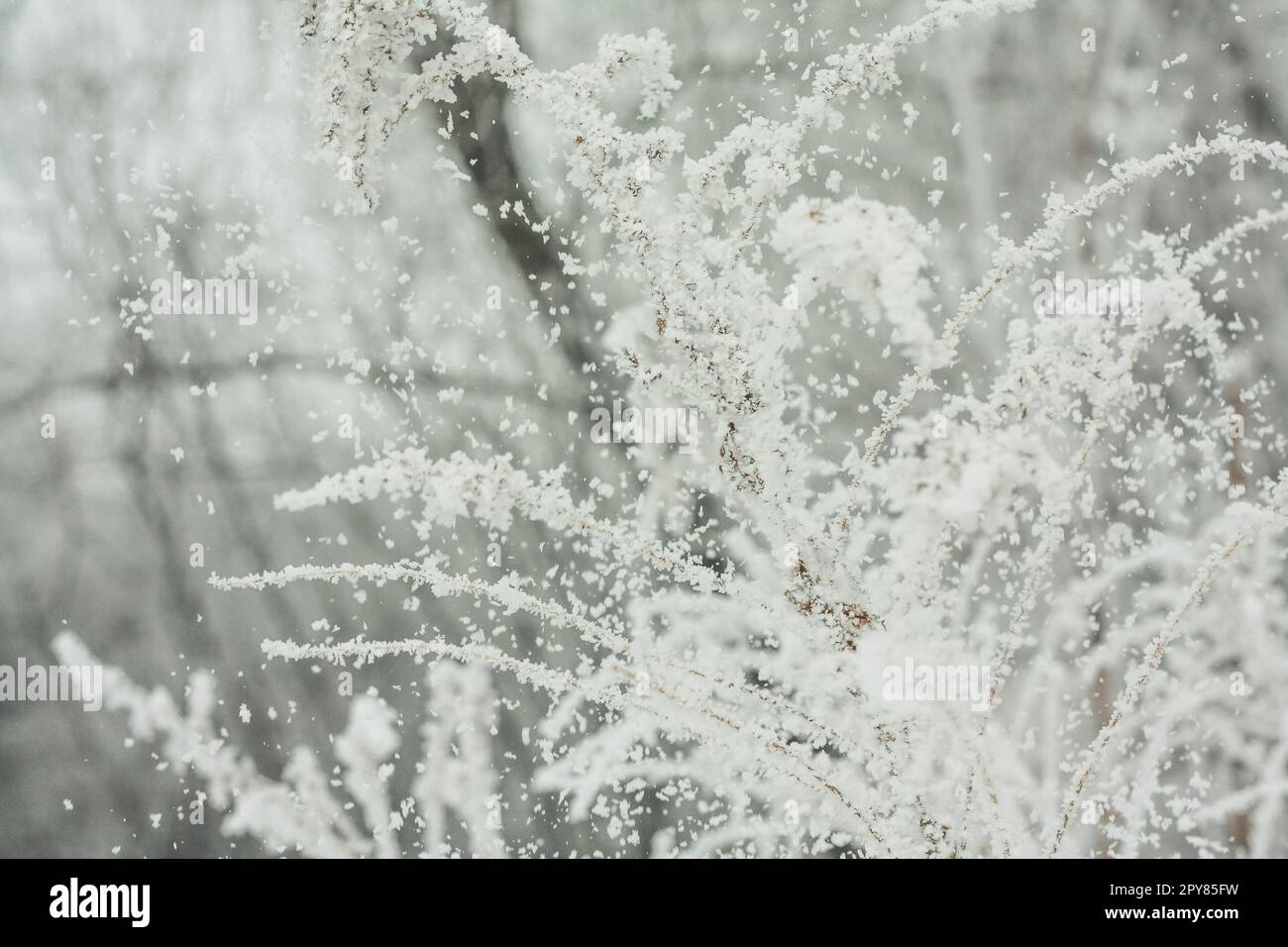 Close up hoar frost crystals flying in air concept photo Stock Photo ...