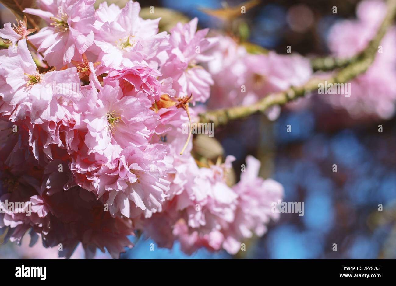 Beautiful nature of England Stock Photo - Alamy