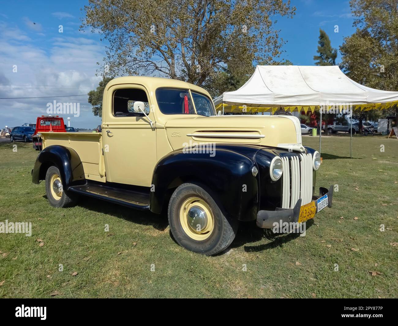 Old cream and black utility 1940s Ford pickup truck on the lawn. Nature ...