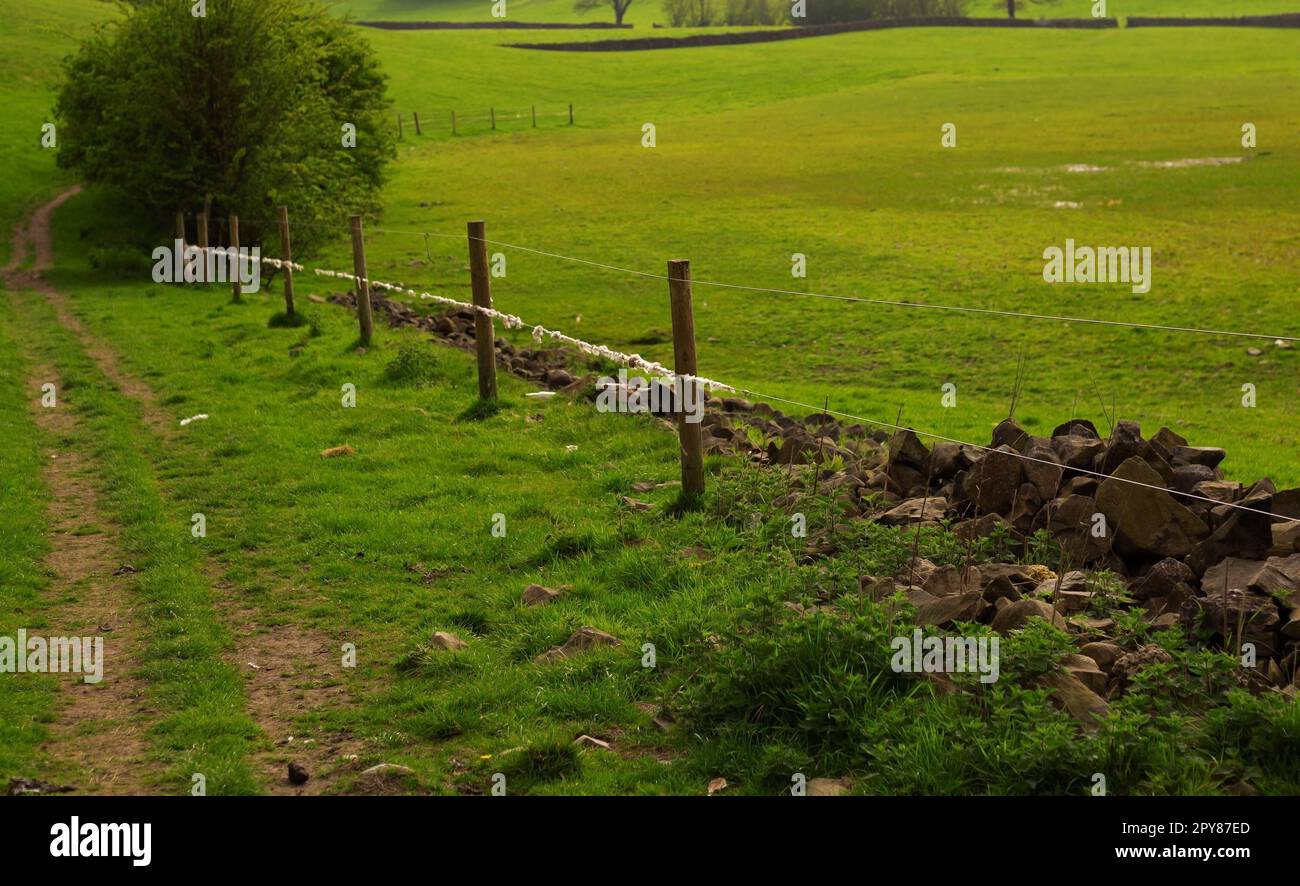 Beautiful nature of England Stock Photo - Alamy