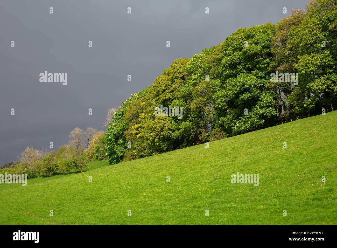 Beautiful nature of England Stock Photo - Alamy
