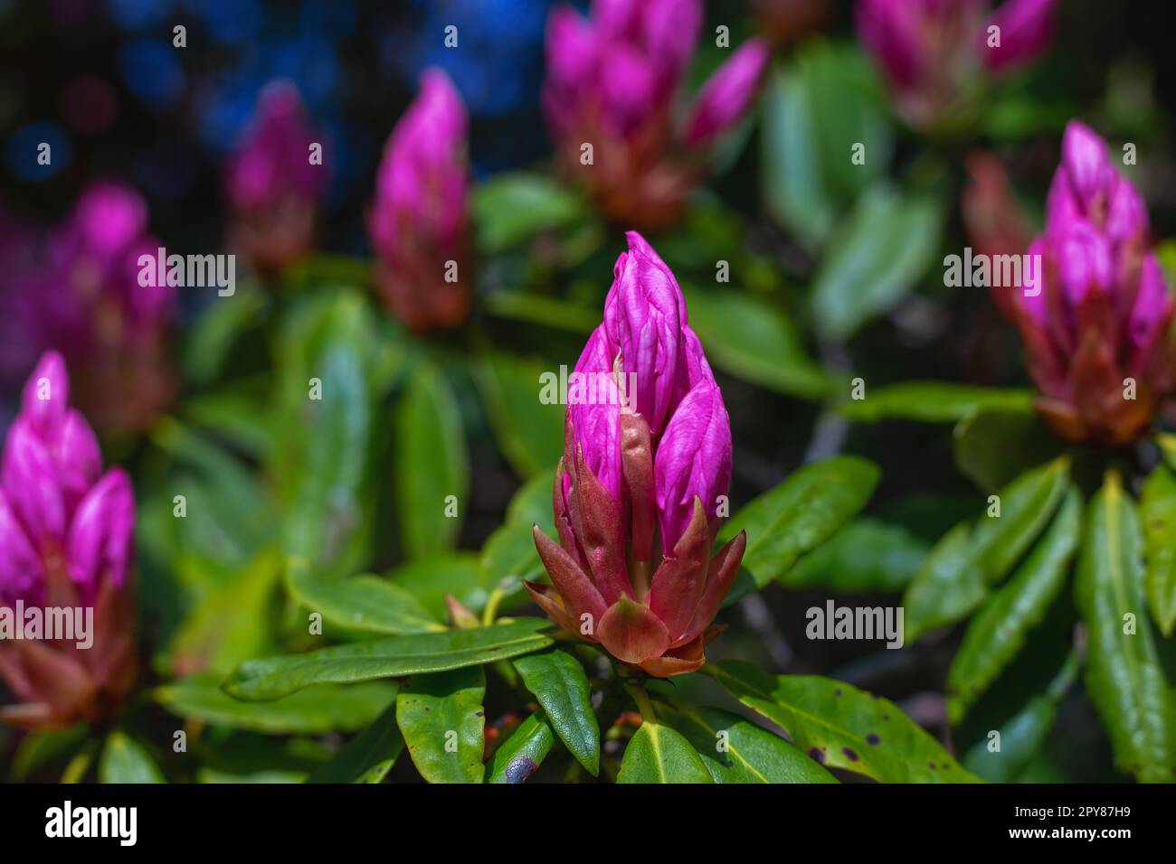 Beautiful nature of England Stock Photo - Alamy