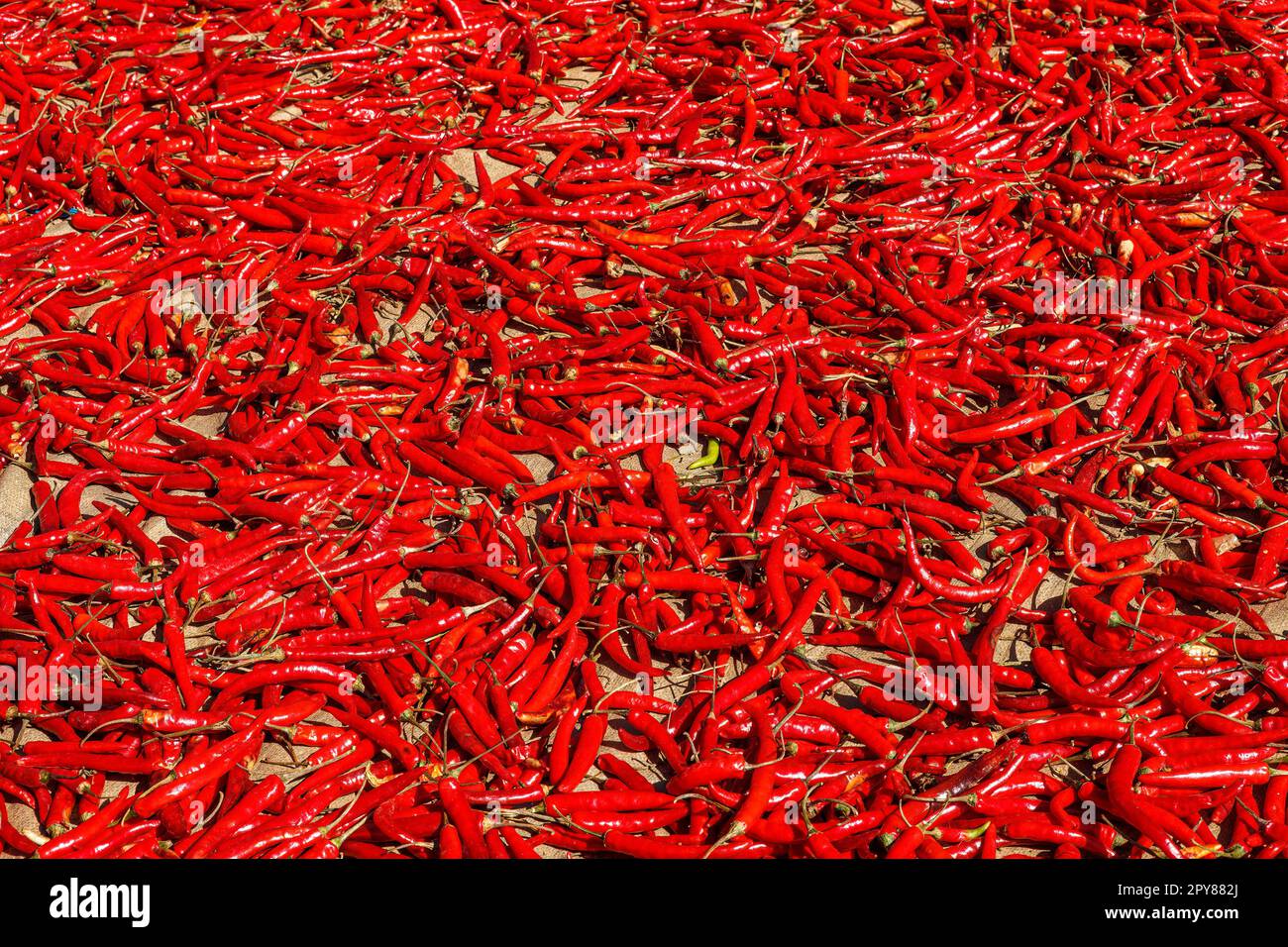 Hot red hi-res stock photography and images - Alamy