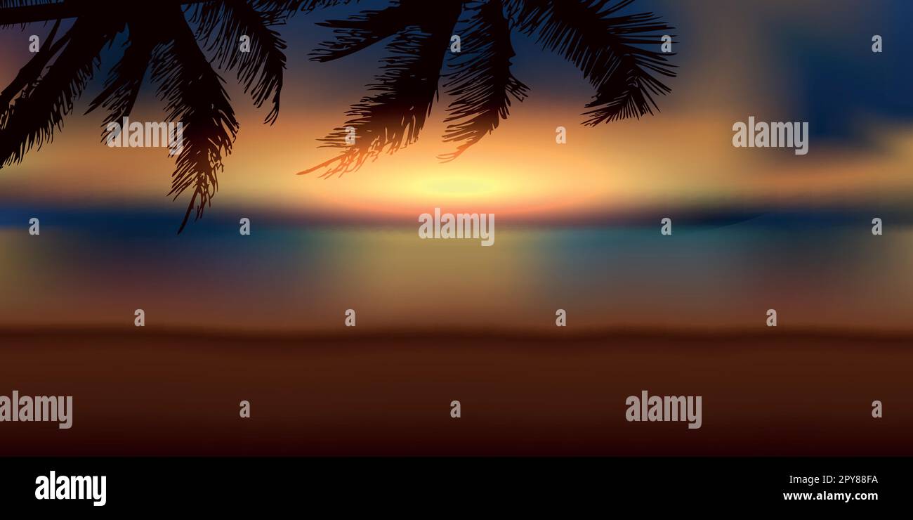 luxury holiday design with tropical sunset background and palm leaf ...
