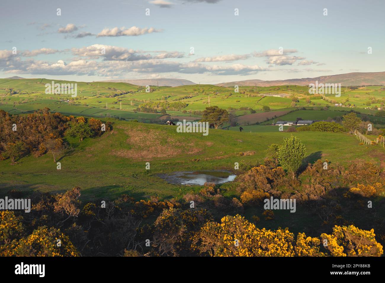 English summer season panoramic hi-res stock photography and images - Alamy