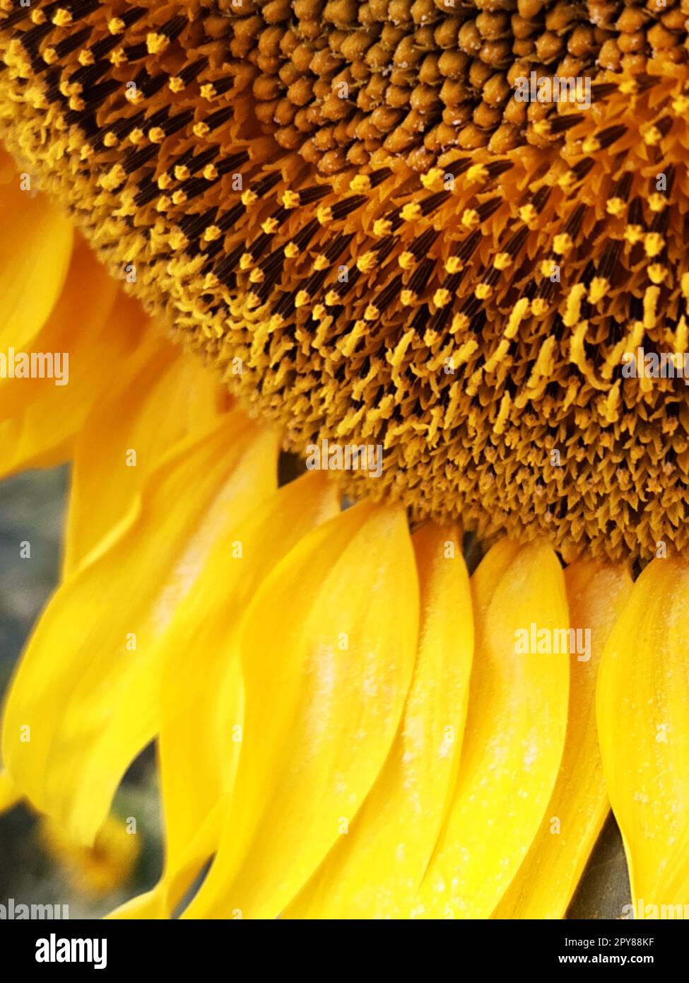 Part of head hi-res stock photography and images - Alamy