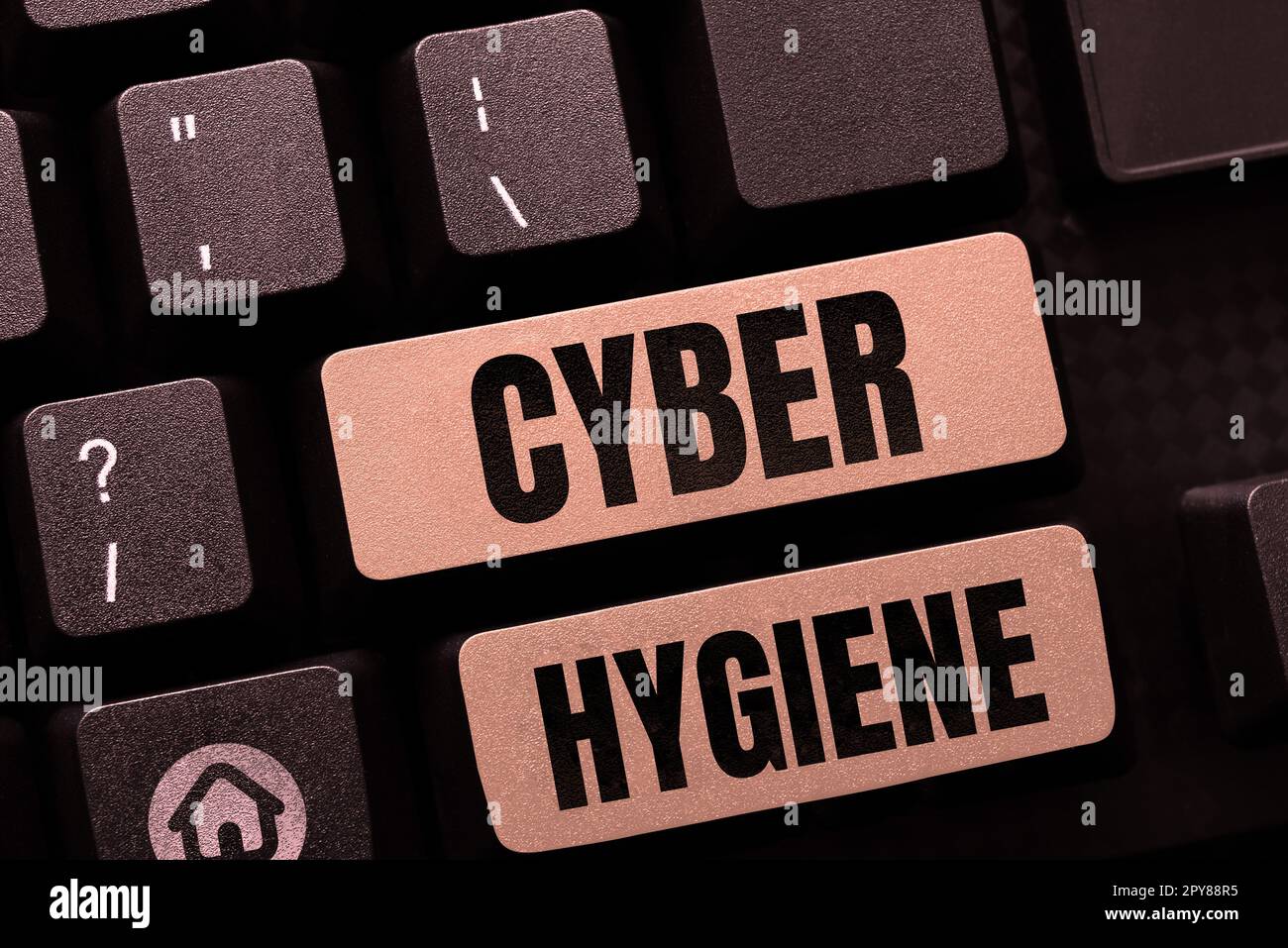 Conceptual display Cyber Hygiene. Concept meaning steps that computer ...