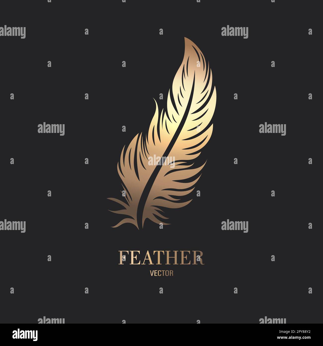 Vector Fluffy Golden Color Feather Logo Icon, Silhouette Feather ...