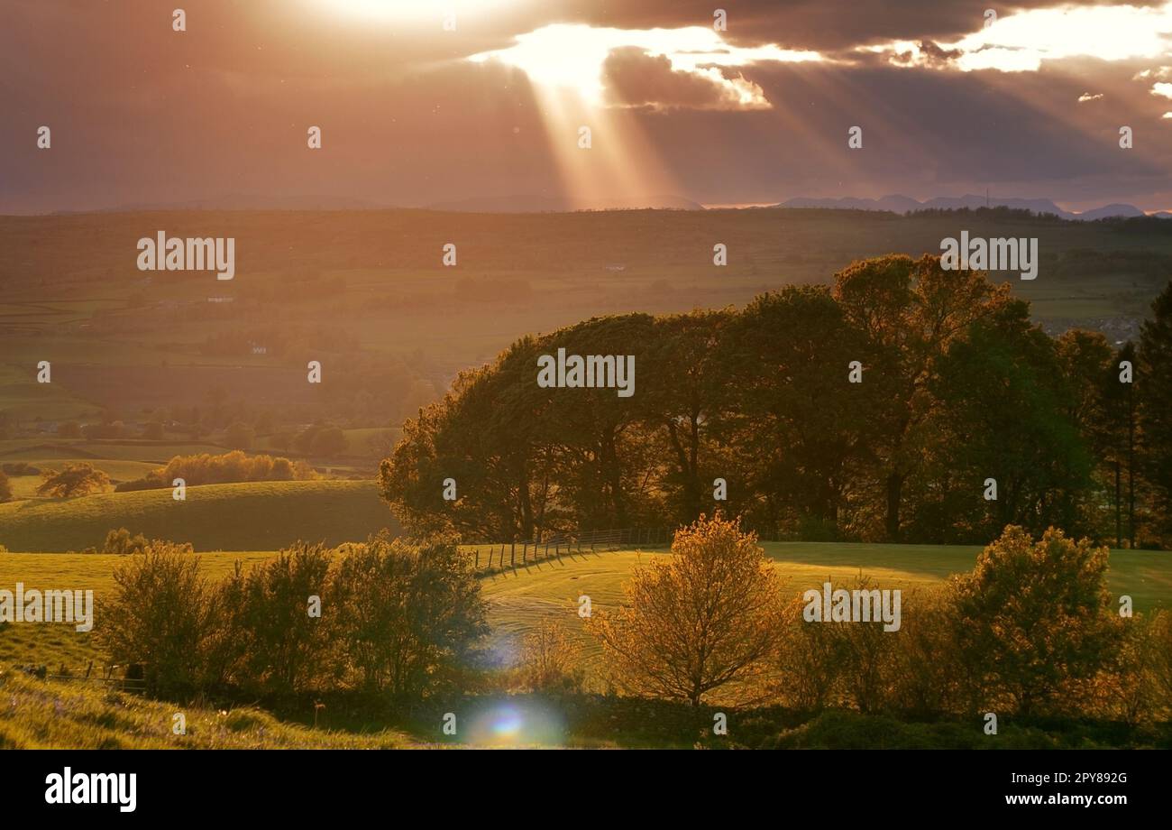 Garden sunset british hi-res stock photography and images - Alamy