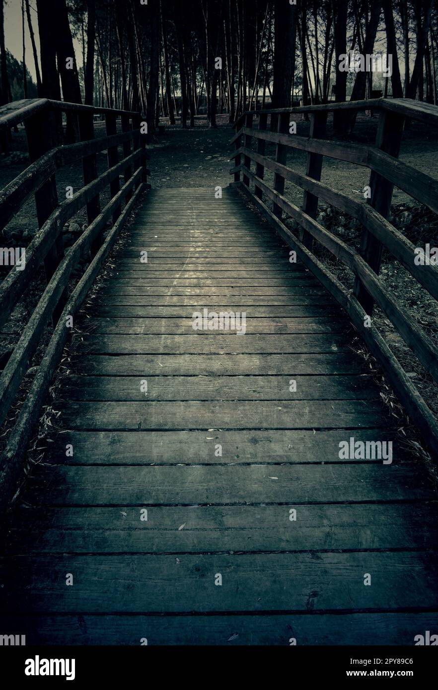 Wooden footbridge in a forest Stock Photo - Alamy
