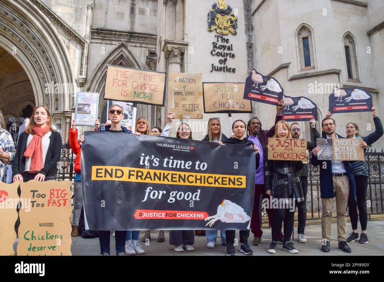 Abnormal chicken egg hi-res stock photography and images - Alamy