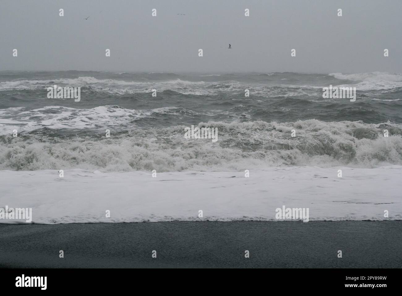 Ocean foam on beach monochrome landscape photo Stock Photo - Alamy