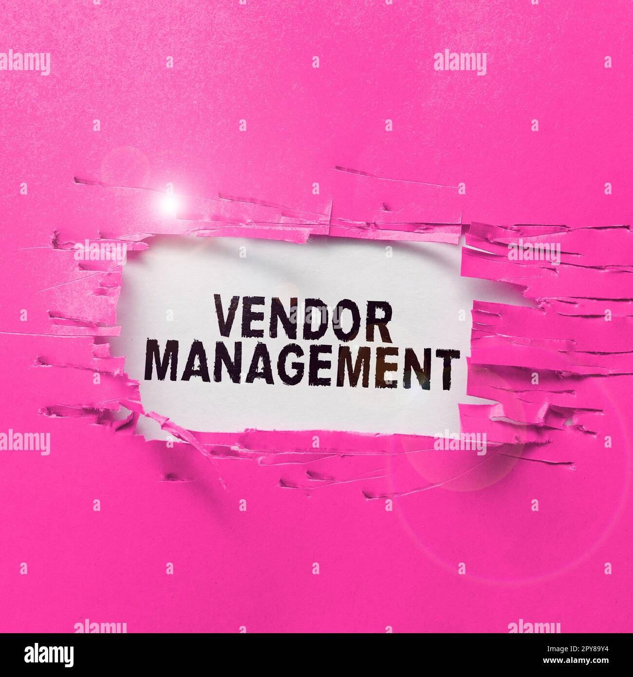 Text sign showing Vendor Management. Business showcase activities ...