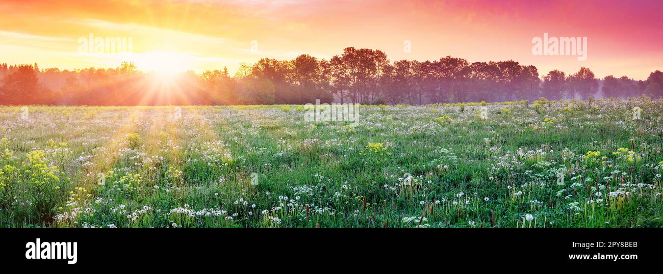 Beautiful field view hi-res stock photography and images - Alamy