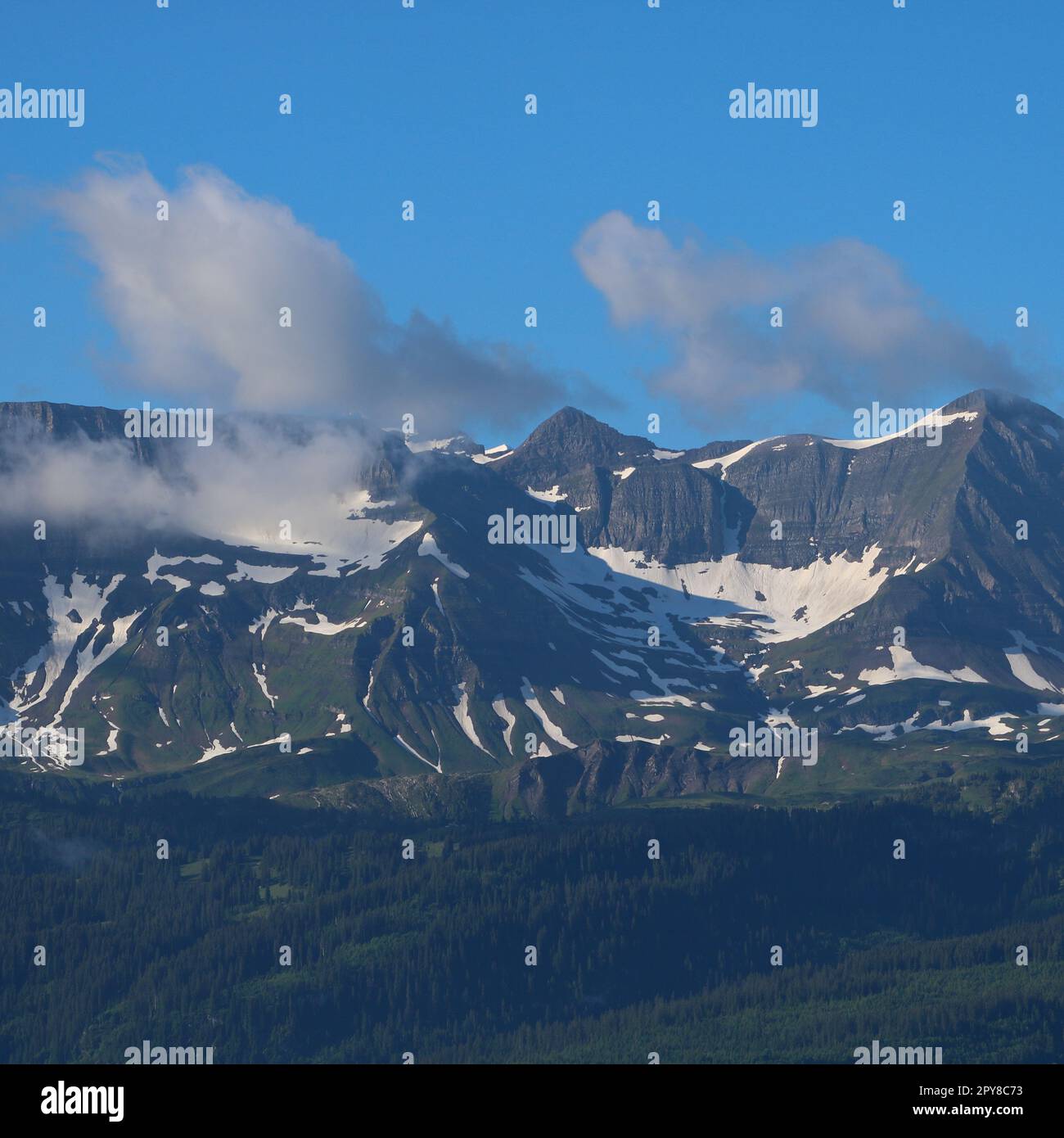 Mountains Gassenhorn and Faulhorn seen from Planalp, Brienz. Summer ...
