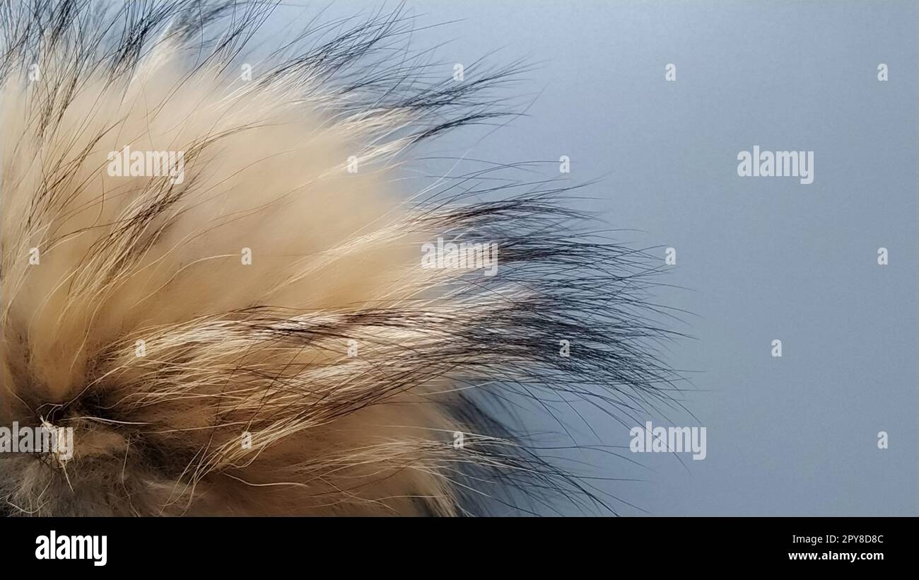 Caps caps design hi-res stock photography and images - Alamy