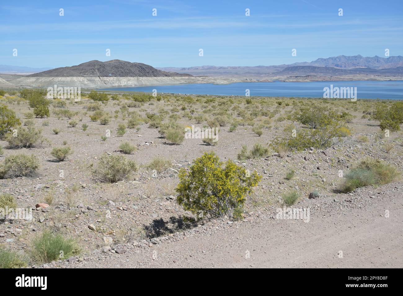 Low water levels due to drought at Lake Mead in Nevada, USA Stock Photo ...
