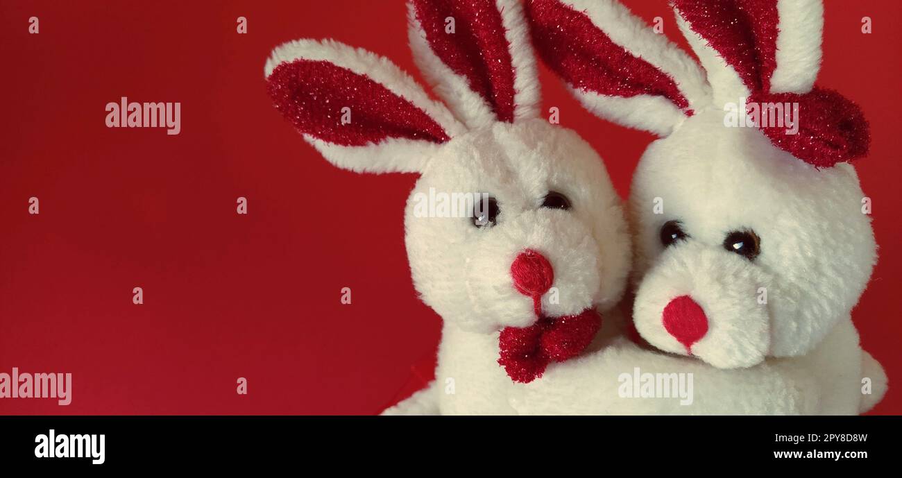 Cute easter couple rabbit heart hi-res stock photography and images - Alamy