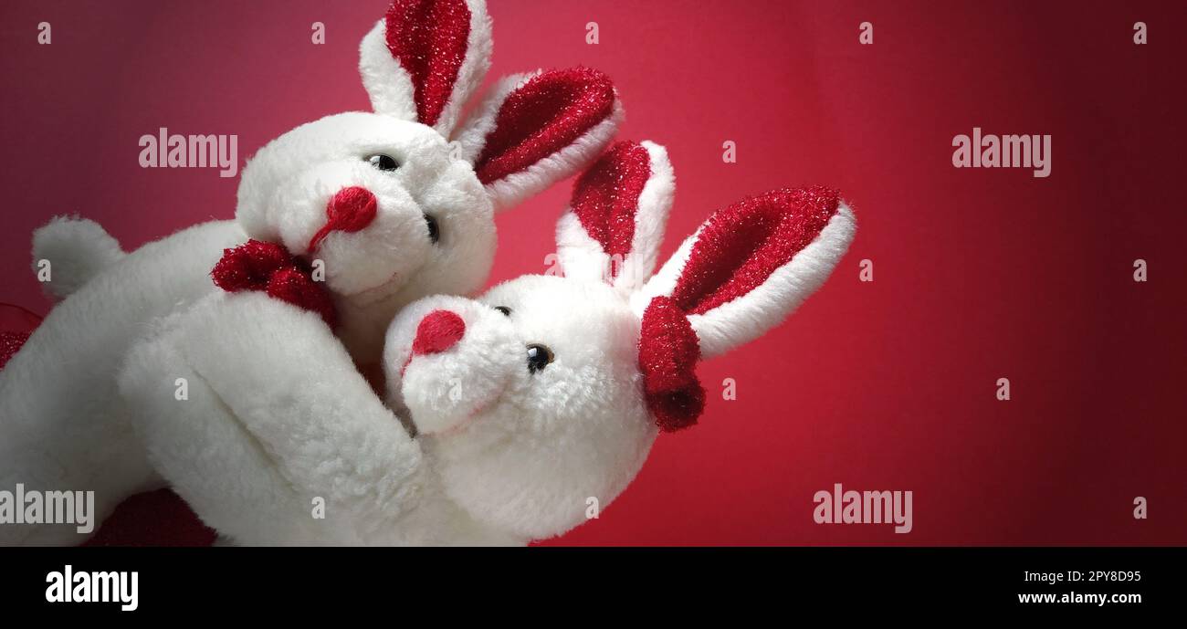 Two white plush rabbits cuddling. Dark red background. Children's toys ...