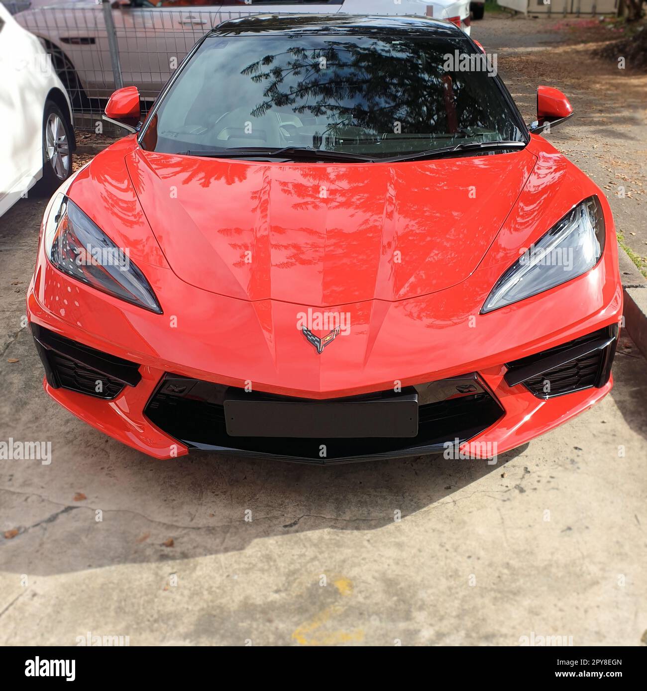 front view of luxury sports car red Chevrolet Corvette convertible ...