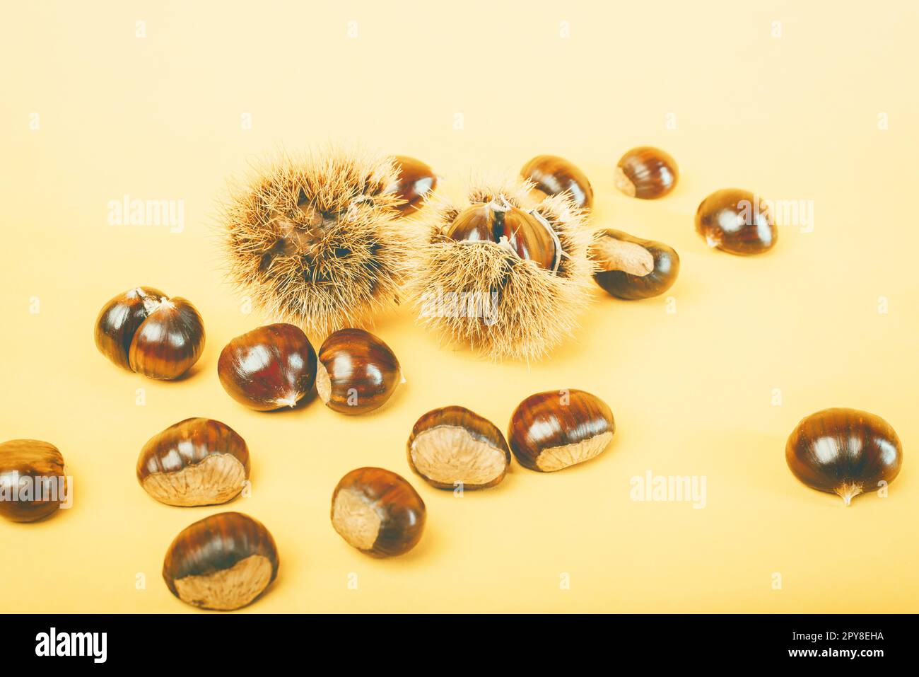 Stylish composition of chestnut on yellow background Stock Photo - Alamy
