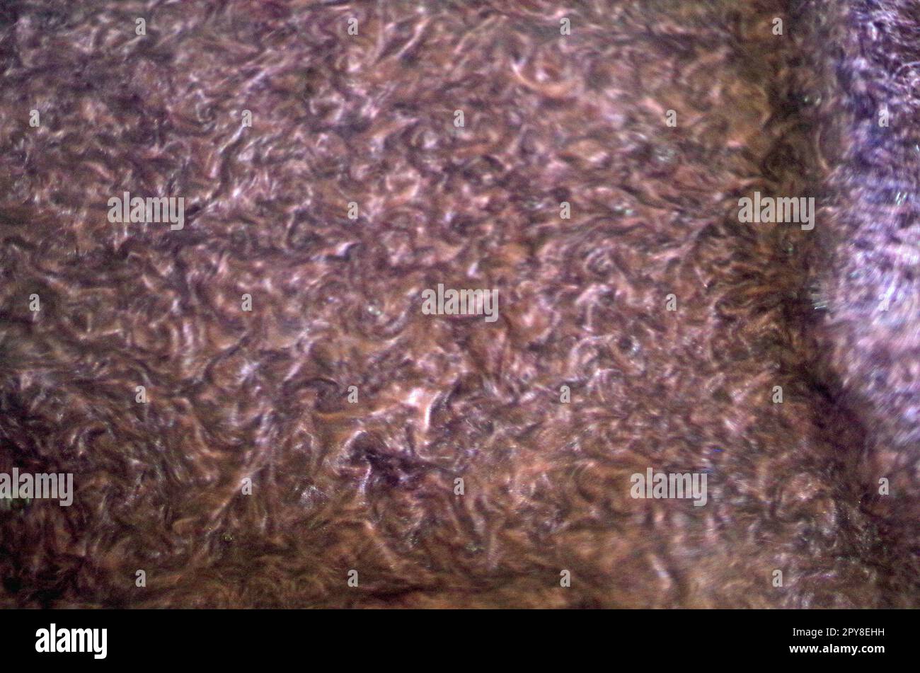 Experiment With Liquid Stock Photo Alamy