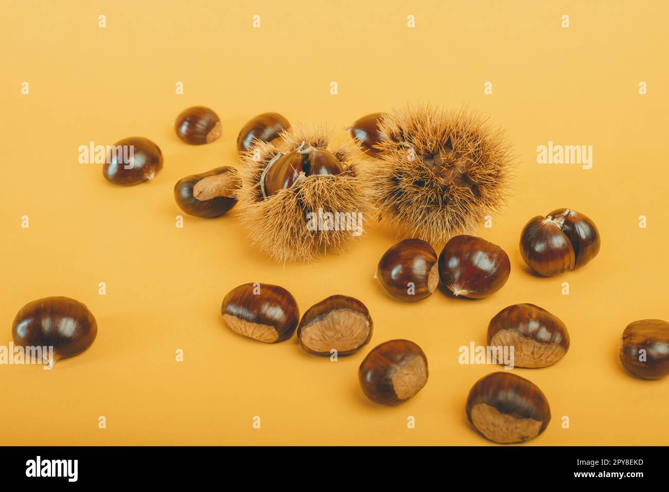 Stylish composition of chestnut on yellow background Stock Photo - Alamy