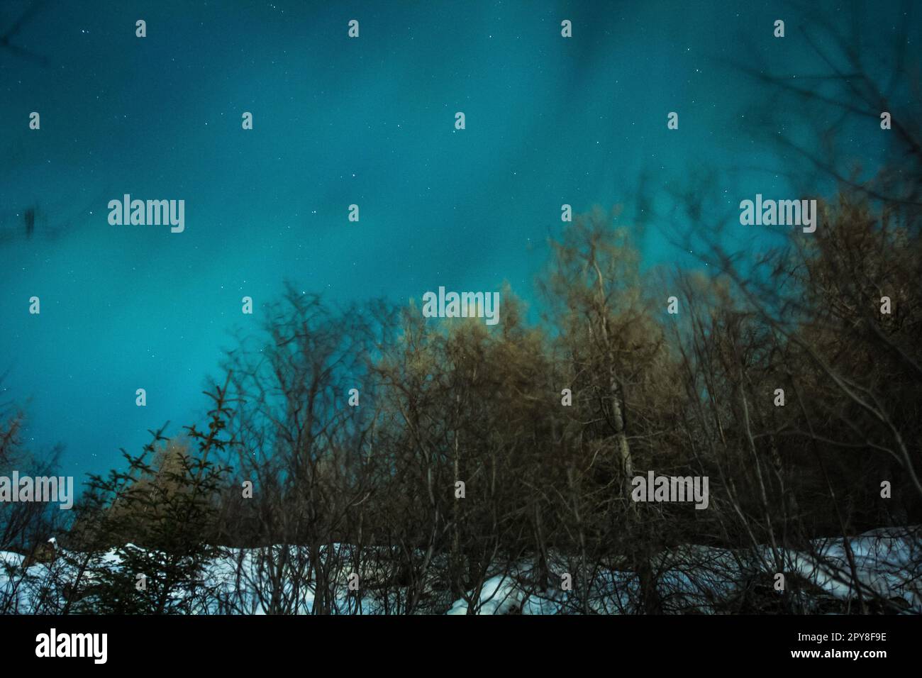 Beautiful sky over forest hi-res stock photography and images - Alamy