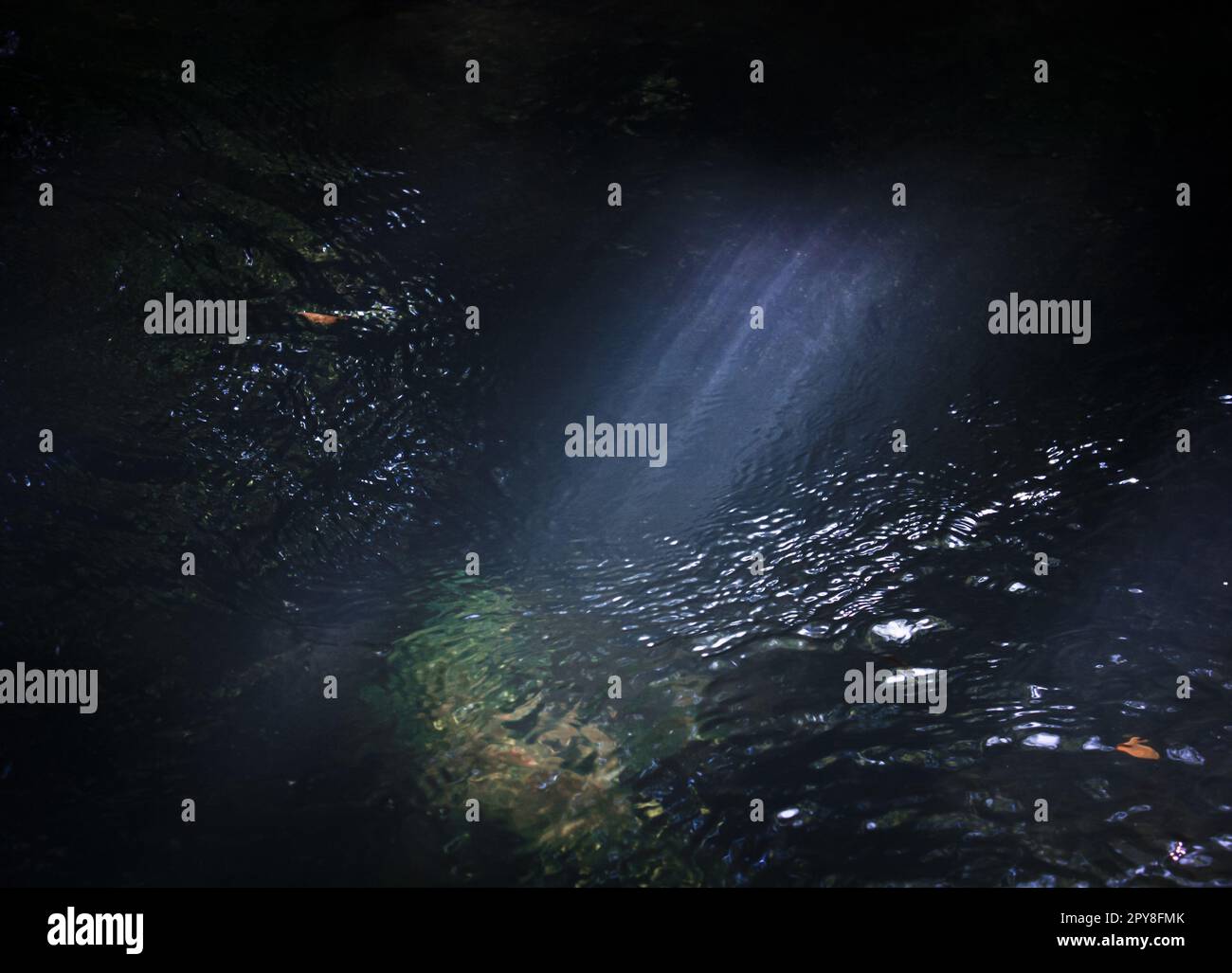 Close up shot sunbeam falling hi-res stock photography and images - Alamy