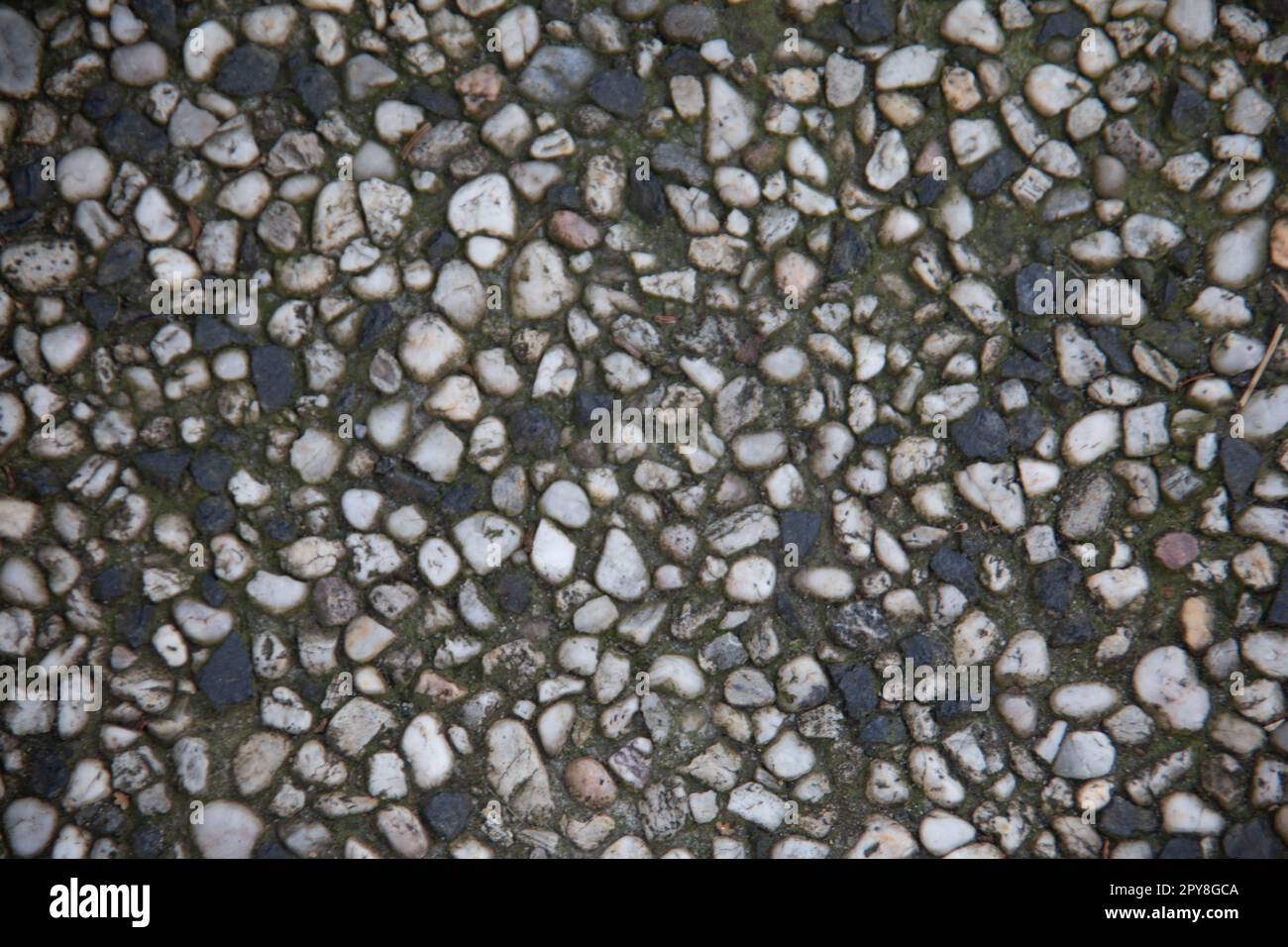 Pattern of a wall or floor covering Stock Photo - Alamy