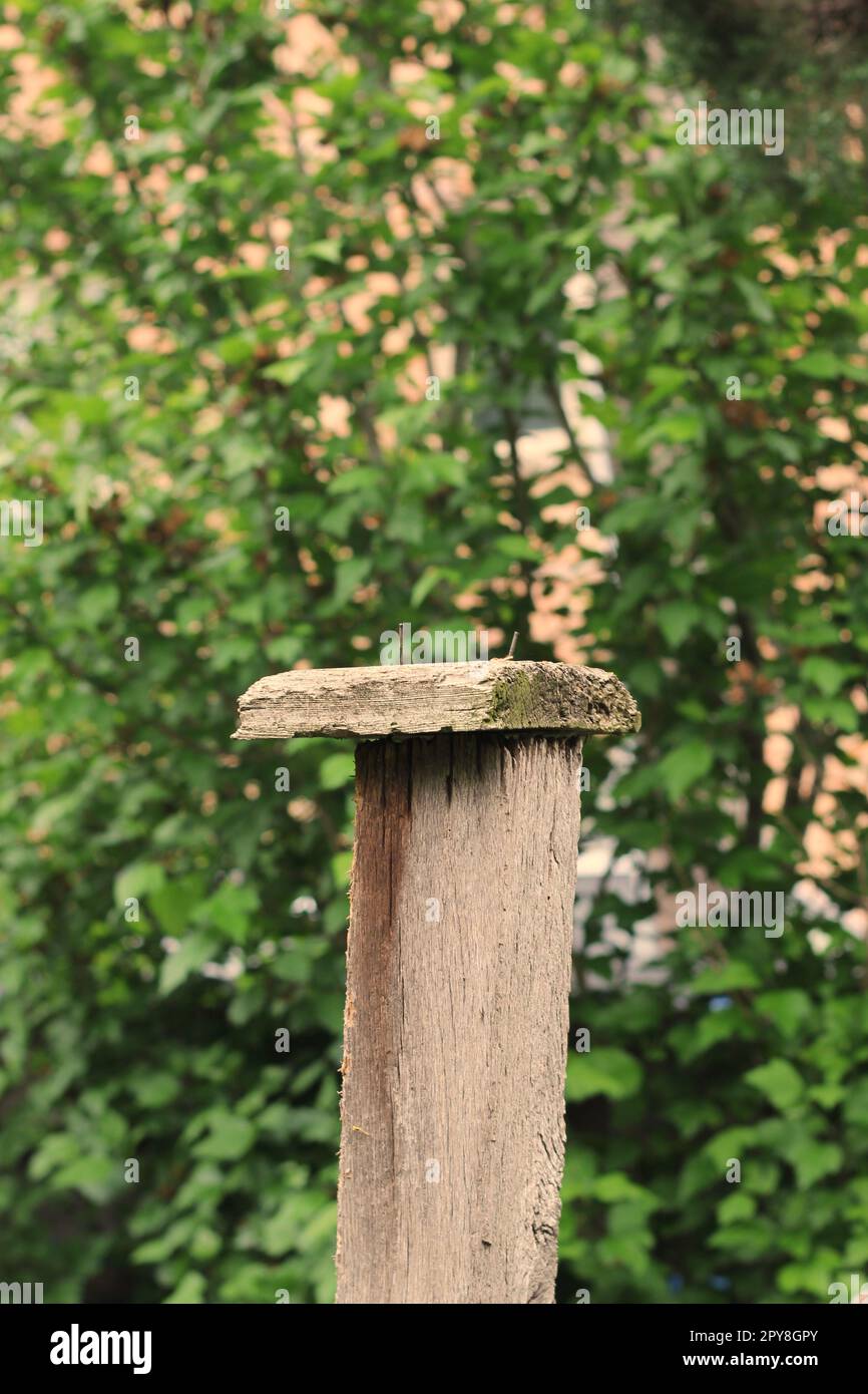 A typical and common worn and weathered wooden fence post standing in ...