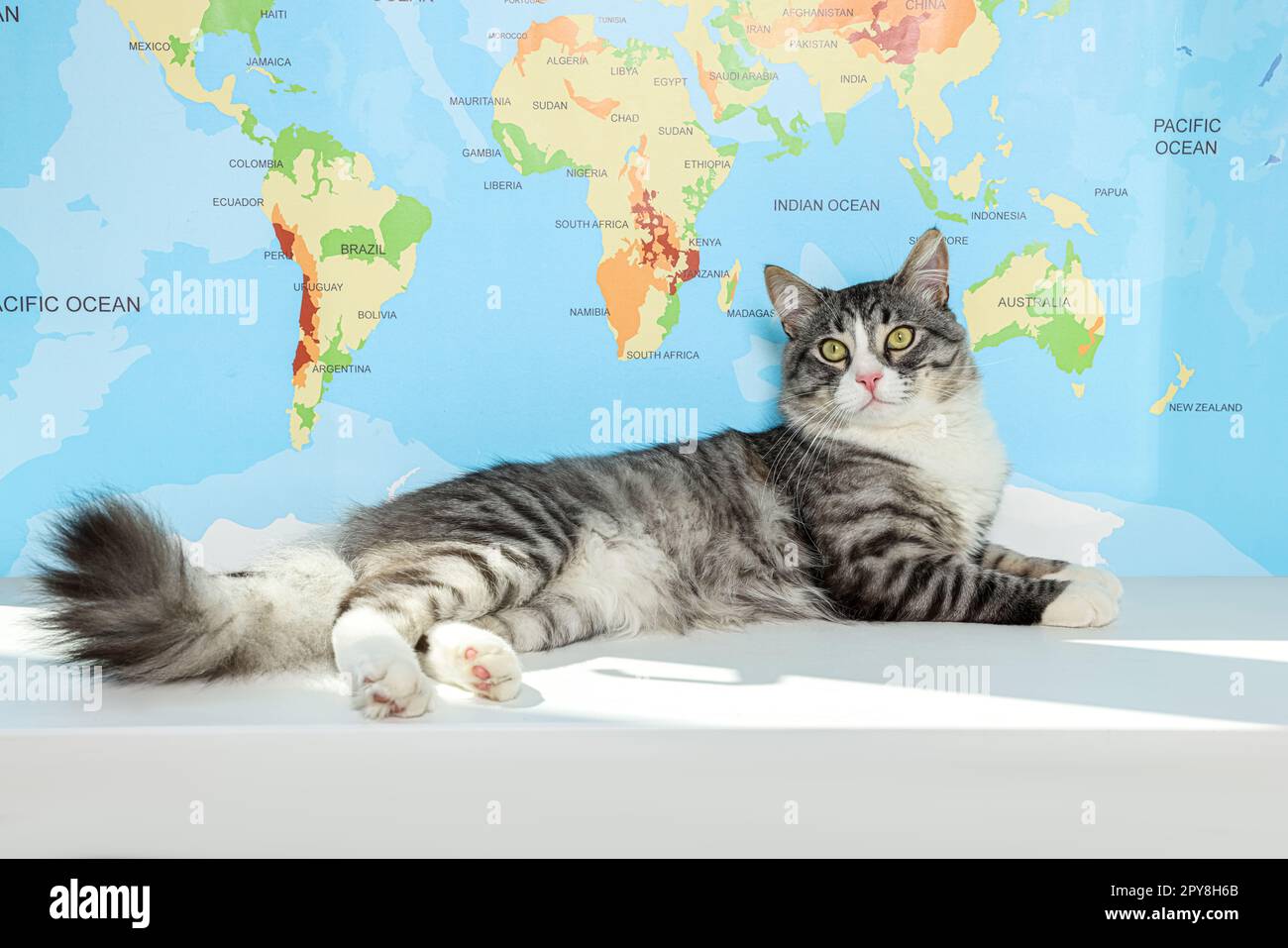 Near map hi-res stock photography and images - Alamy